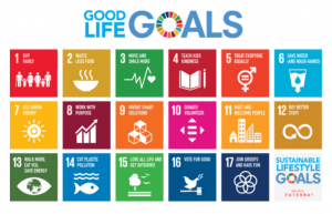 Good Life Goals - The Good Insight